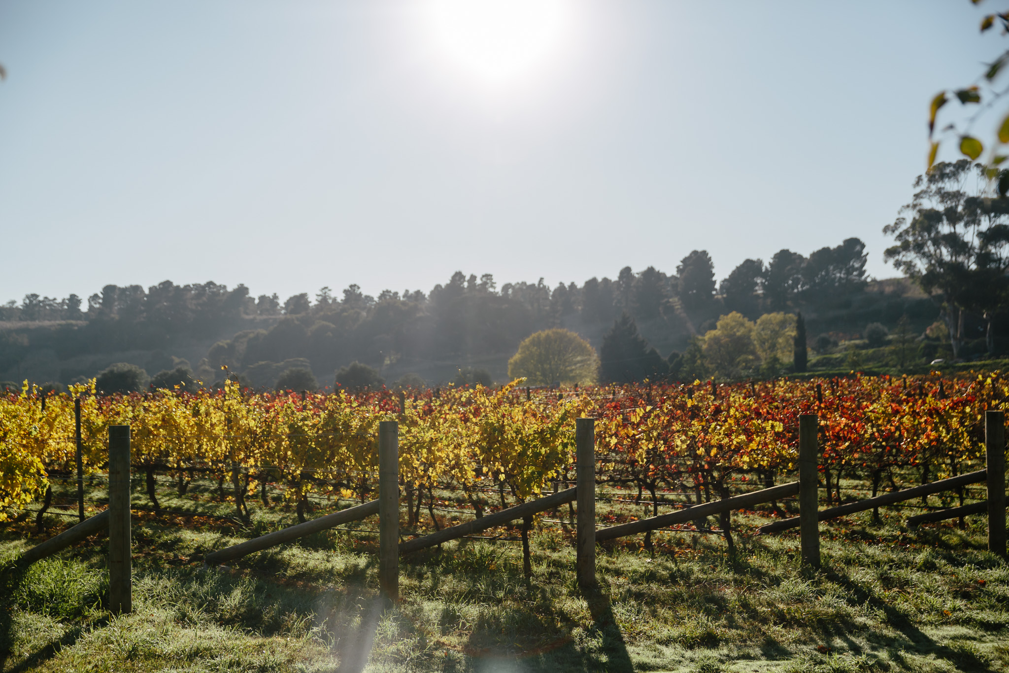 Eat & Drink in and around Sunbury